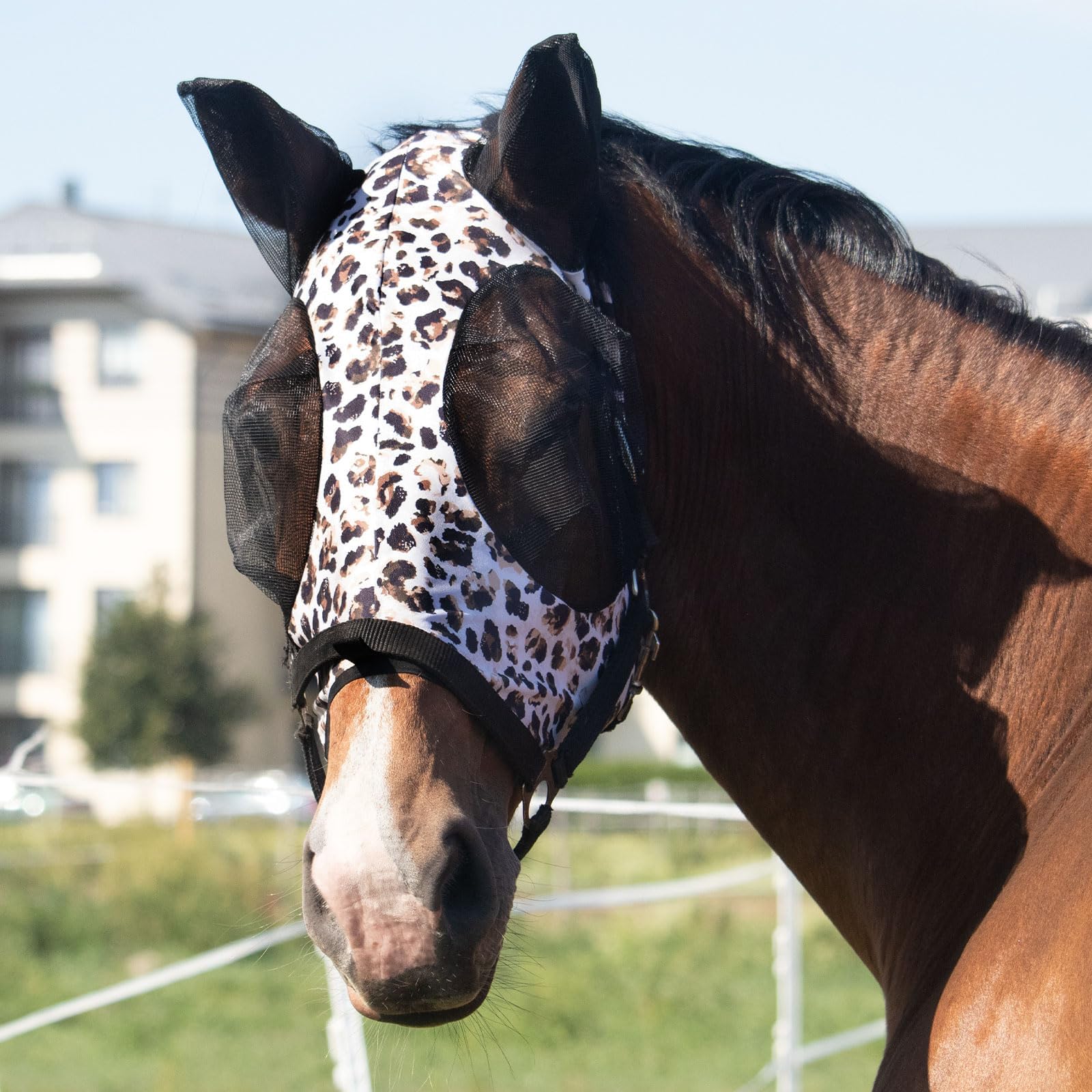 Amazon.com: Lycra Fly Mask for Horses with Ear & Forelock Opening ...