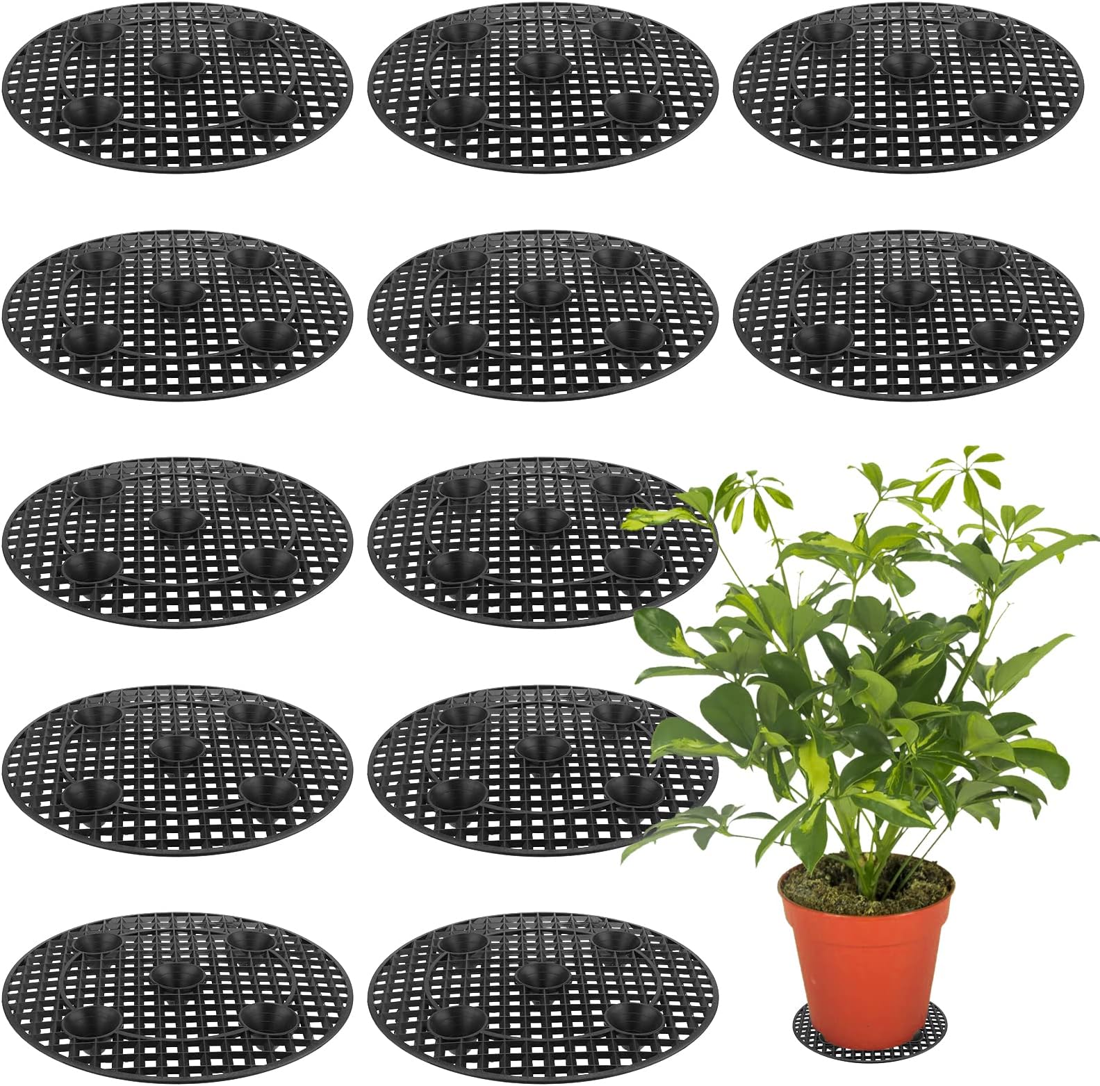 Amazon.com: HOZEON 12 PCS 12 Inch Round Pot Elevator, Black Plant Level ...