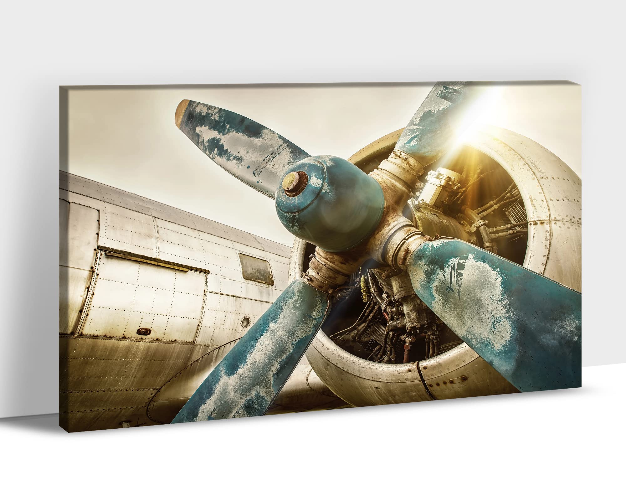 Amazon.com: Vintage Airplane Canvas Wall Art for Living Room, Retro ...