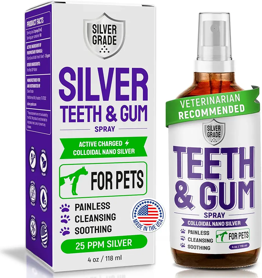 The Complete Guide: Using Colloidal Silver For Cats | PetShun