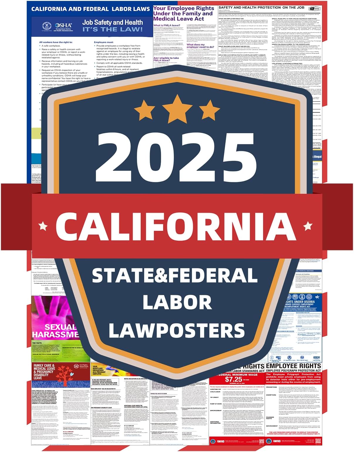 Amazon.com : 2025 California State and Federal Labor Laws Poster ...