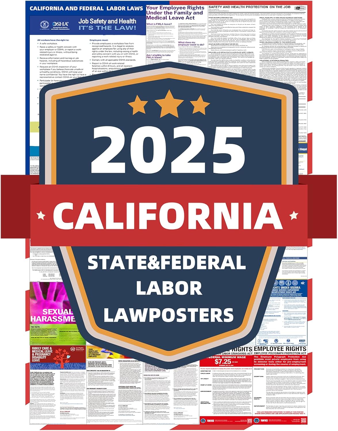 2025 California State and Federal Labor Laws Poster - English Version ...