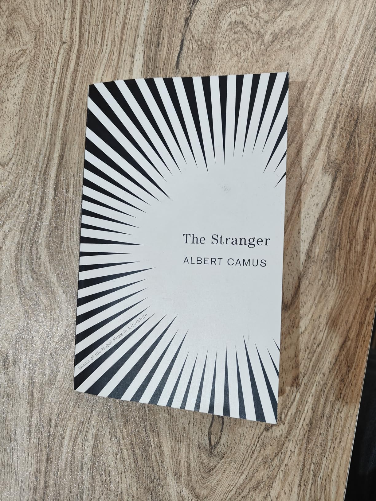 Buy The Stranger Book Online at Low Prices in India | The Stranger ...
