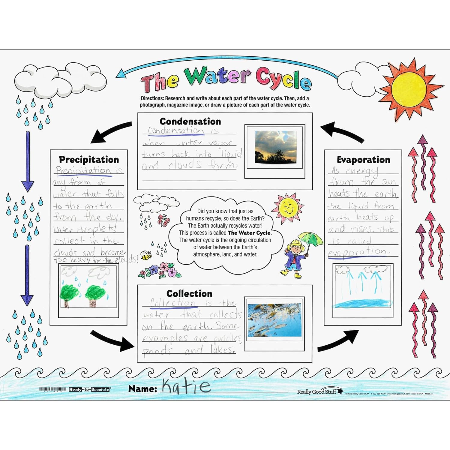 Amazon.com: Really Good Stuff Ready-to-Decorate The Water Cycle Posters ...