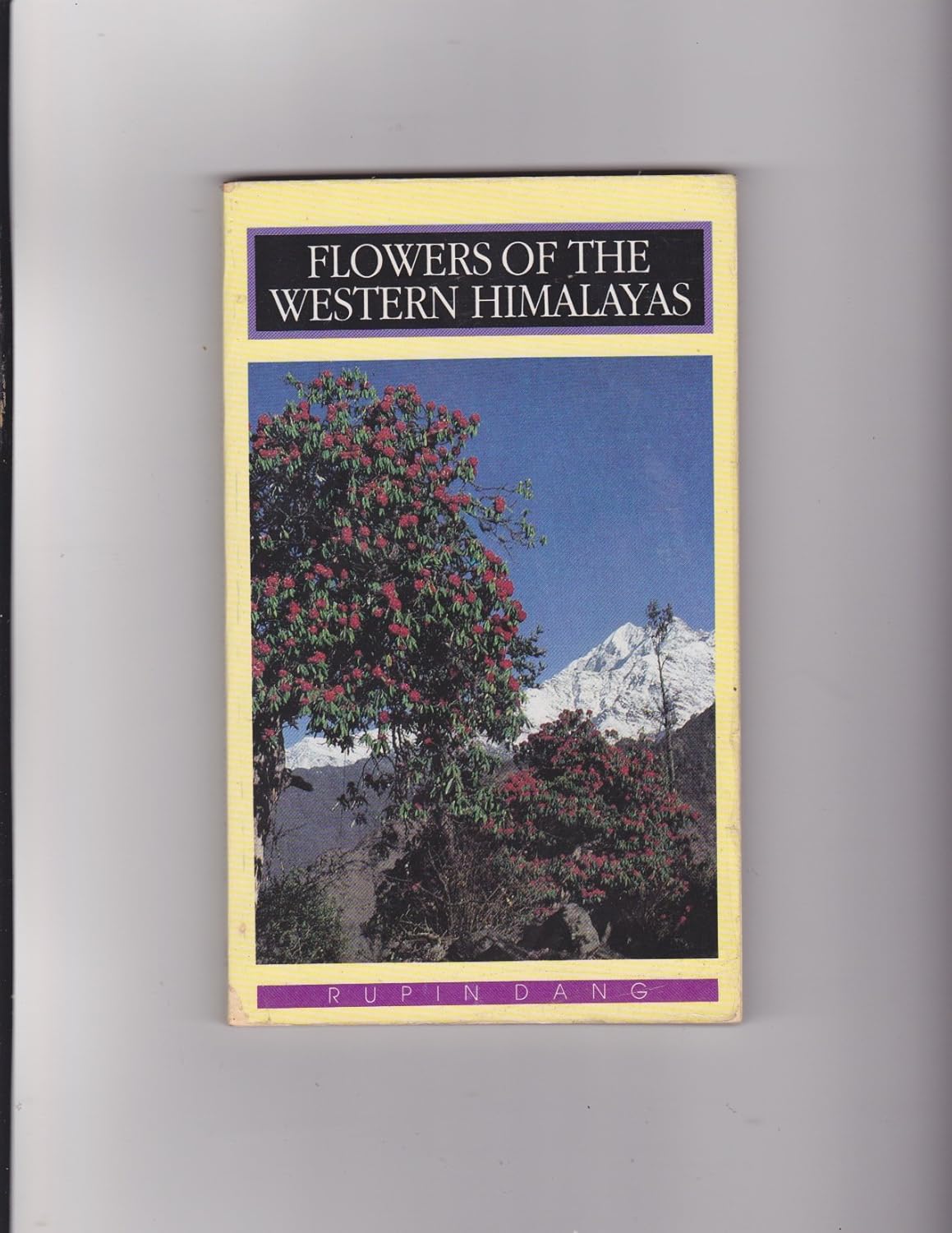 Flowers of Western Himalayas: Dang, Rupin: 9788172230609: Amazon.com: Books