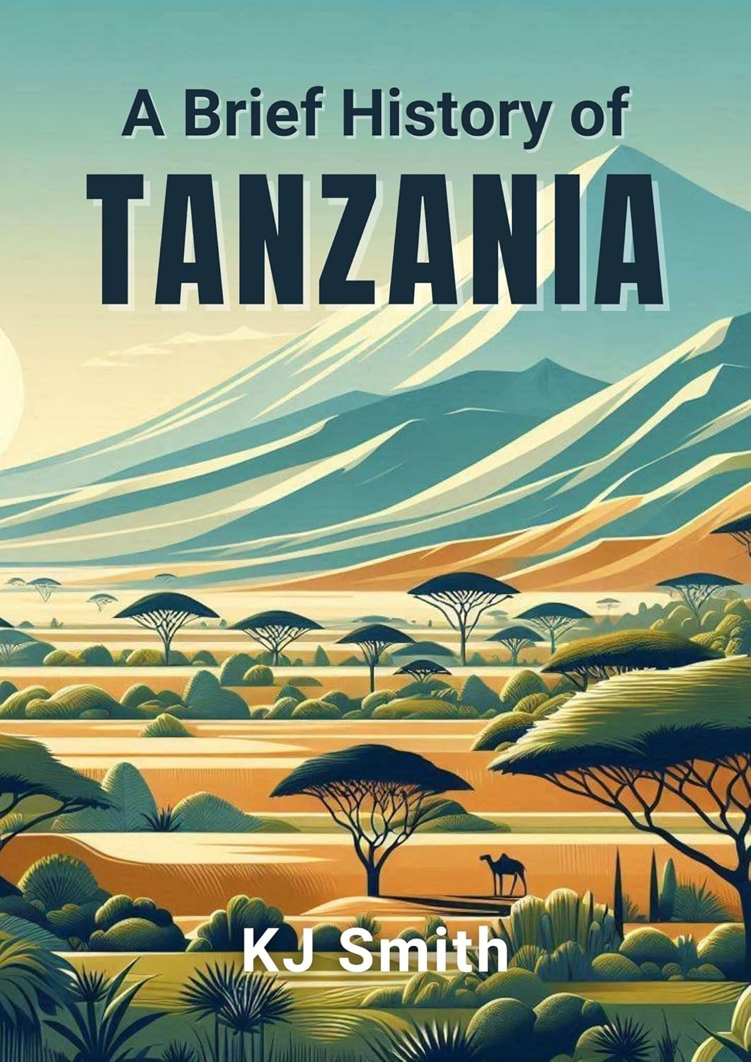 Amazon.com: A Brief History of Tanzania (A Brief History - Around the ...