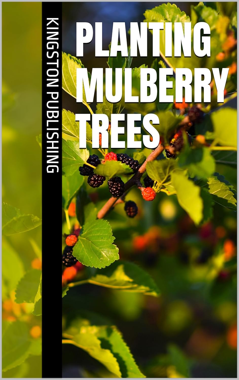 Amazon.com: Planting Mulberry Trees (Landscaping With Fruit Trees ...