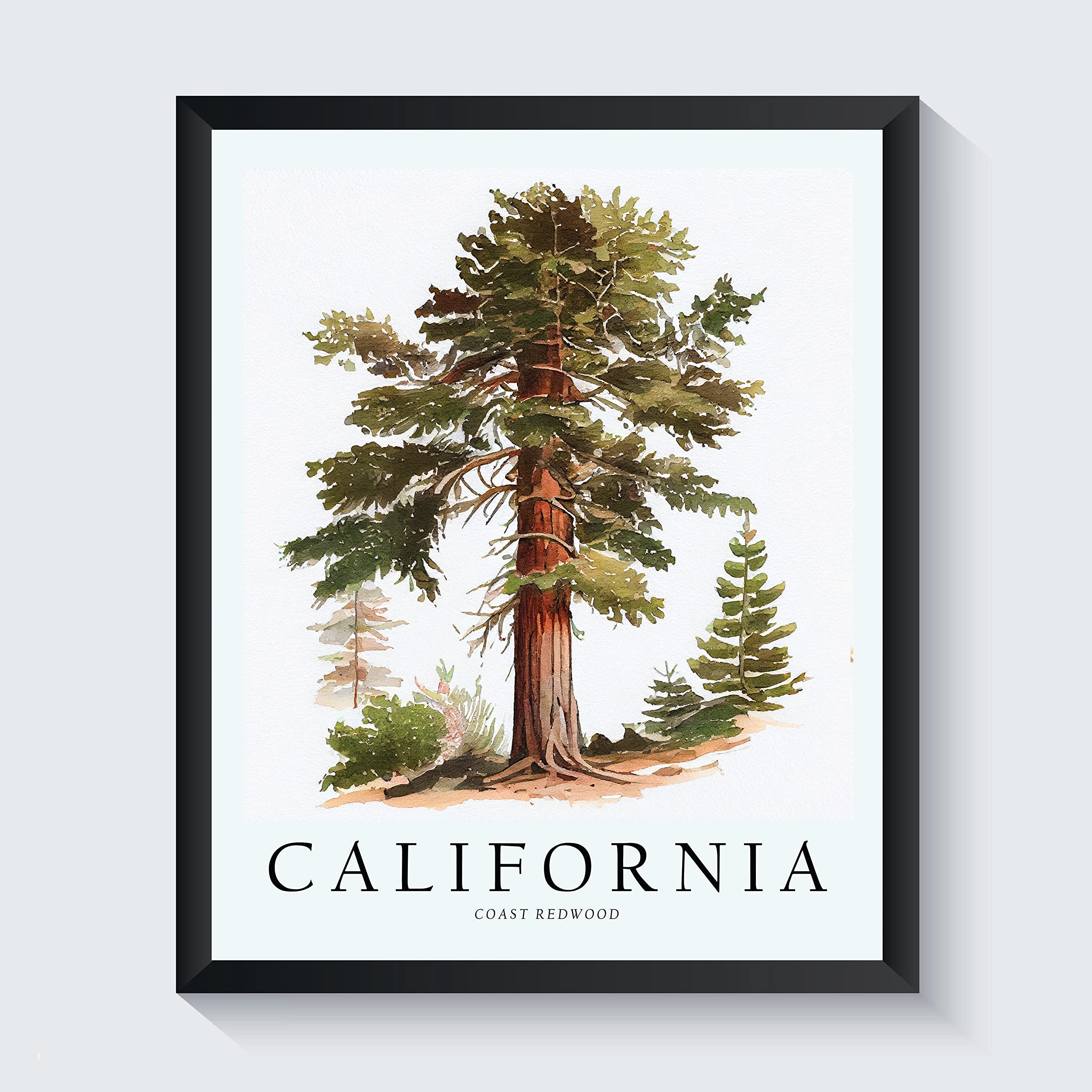 Californias State Tree
