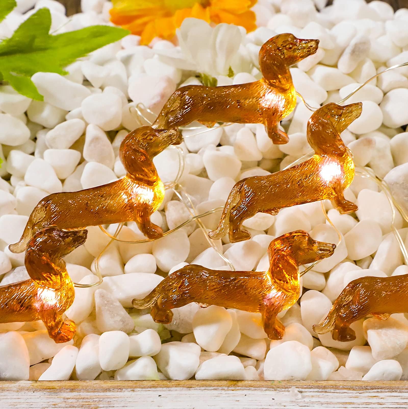 Amazon.com: Impress Life Pet Theme Decorative String Lights, 10ft 30 ...