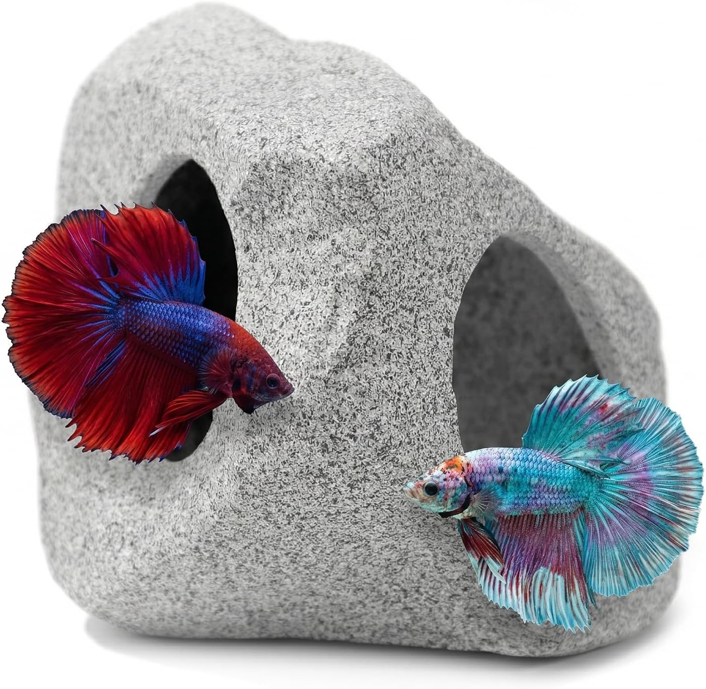 Amazon.com: Aquazoo Premium Beta Fish Tank Decor, Beta Fish Tank ...