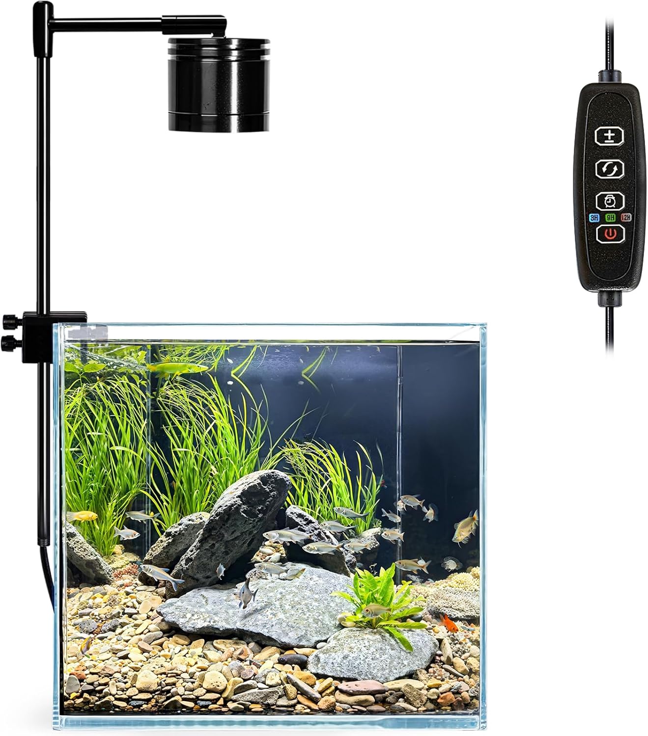 Amazon.com: TRIGRAND Aquarium Light Fish Tank Light LED Clip-on ...