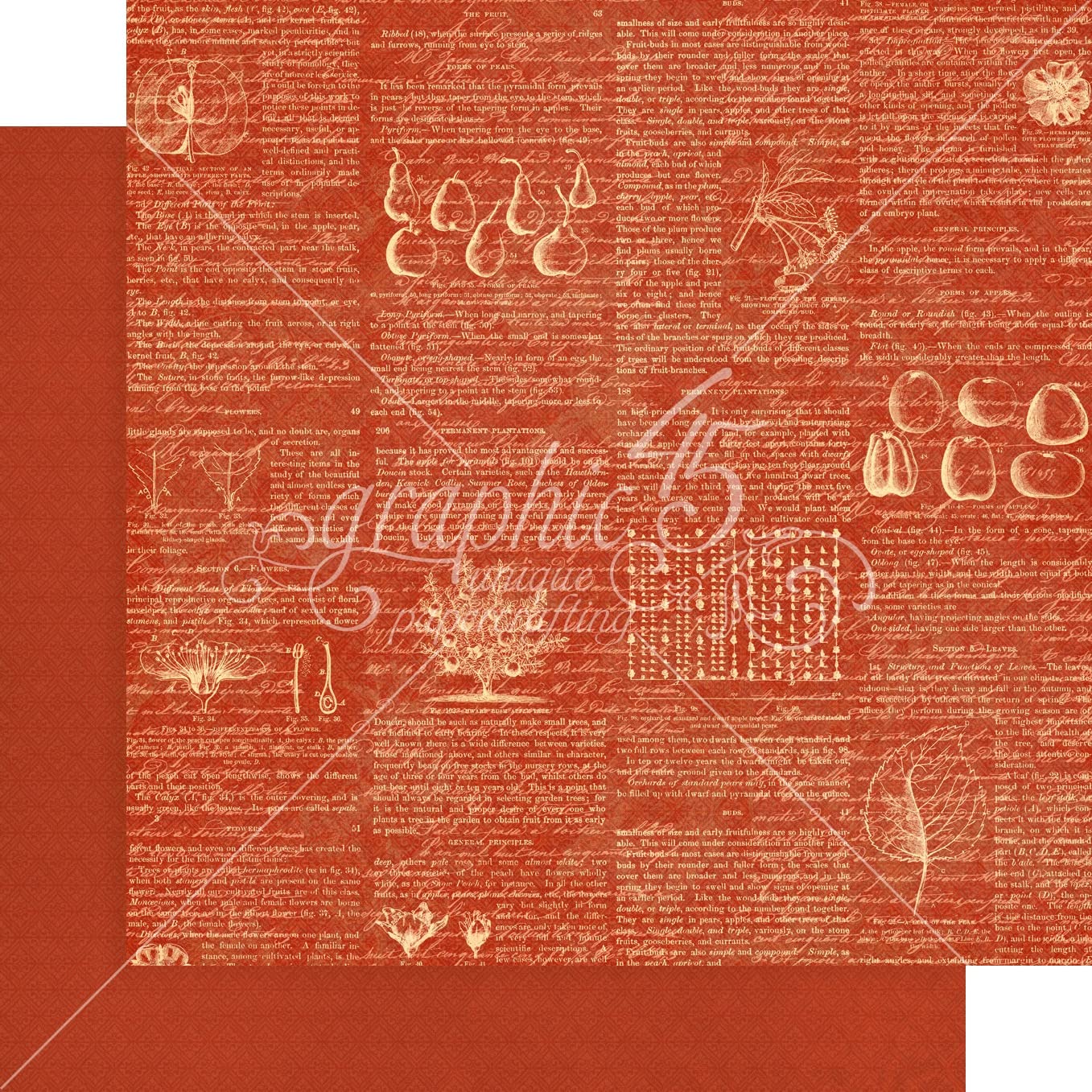 Grainy Paper Texture Tumblr