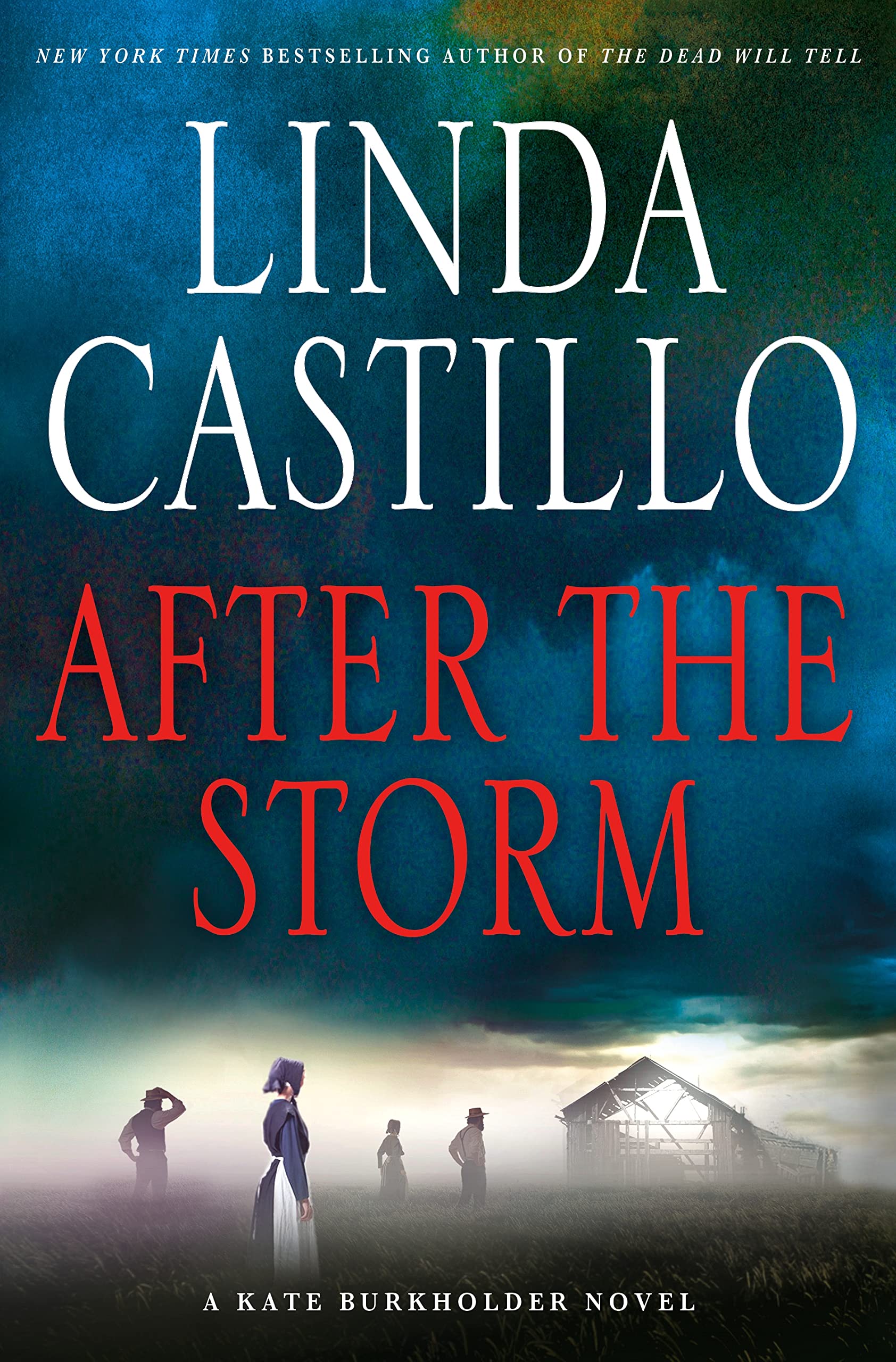 After the Storm: A Kate Burkholder Novel (Kate Burkholder, 7): Castillo ...