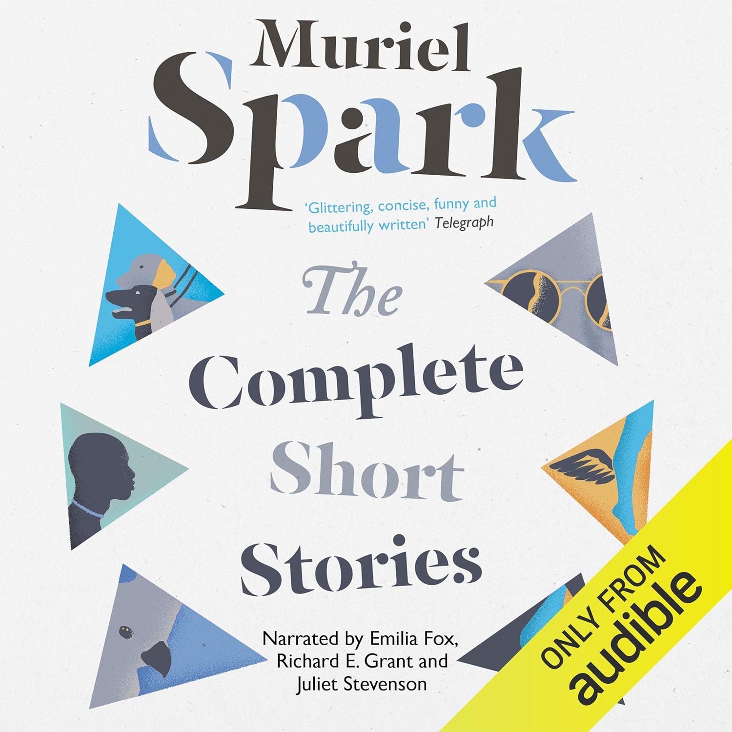 Amazon.com: The Complete Short Stories (Audible Audio Edition): Muriel ...