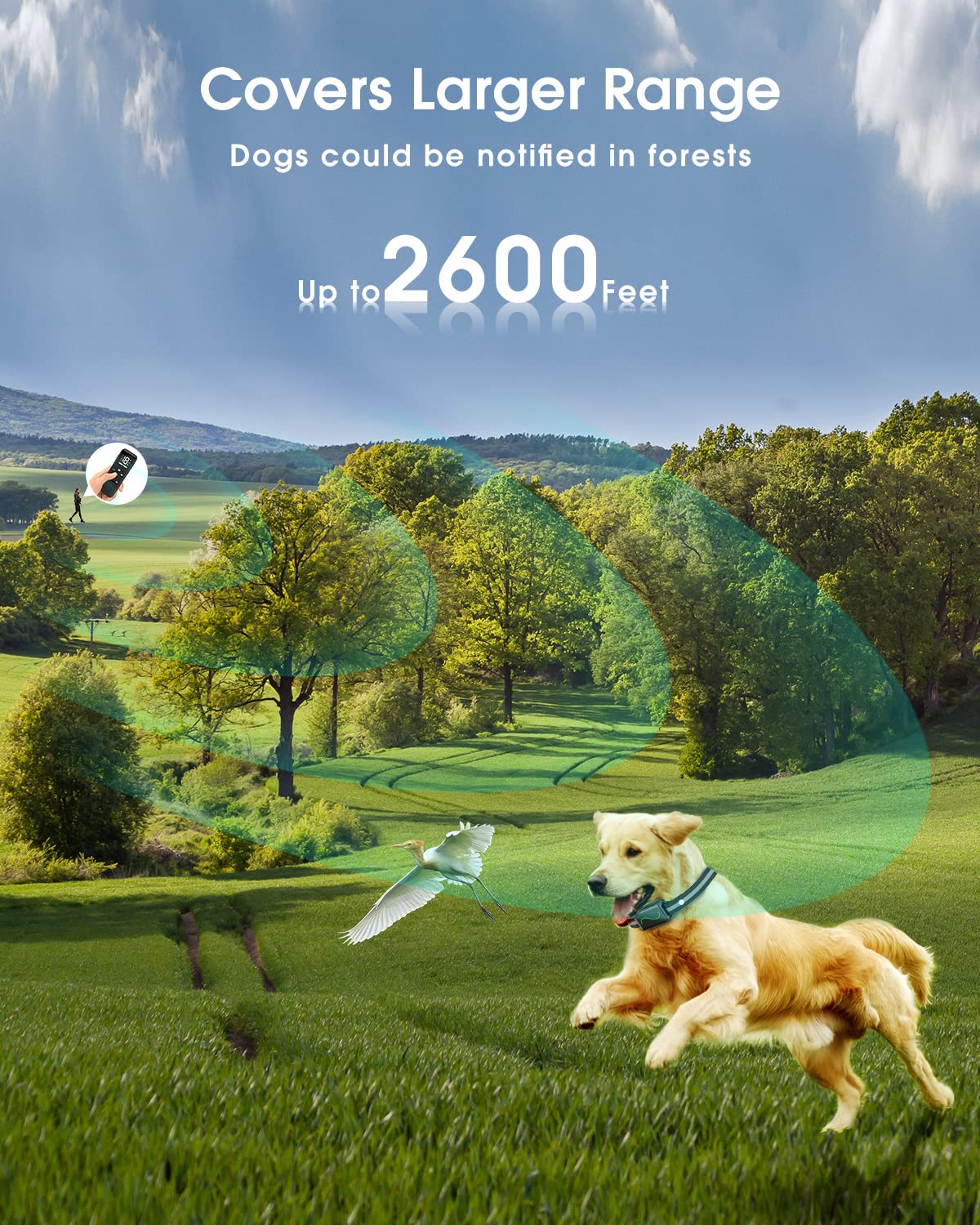 FATEAR Dog Shock Collar Dog Training Collar Shock Collar For fatear-dog-shock-collar-dog-training-collar-shock-collar-for