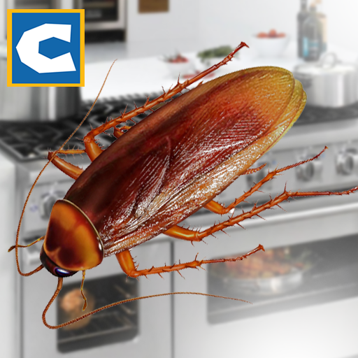 Cockroach Insect Simulator:Amazon.co.uk:Appstore for Android