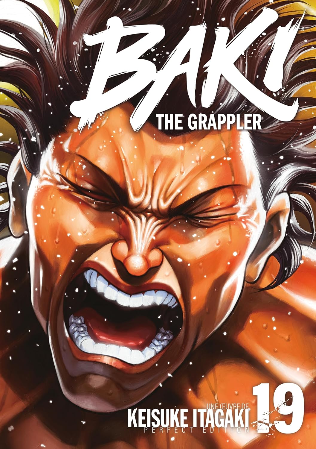 Amazon.com: Baki the Grappler - Tome 19 - Perfect Edition ...