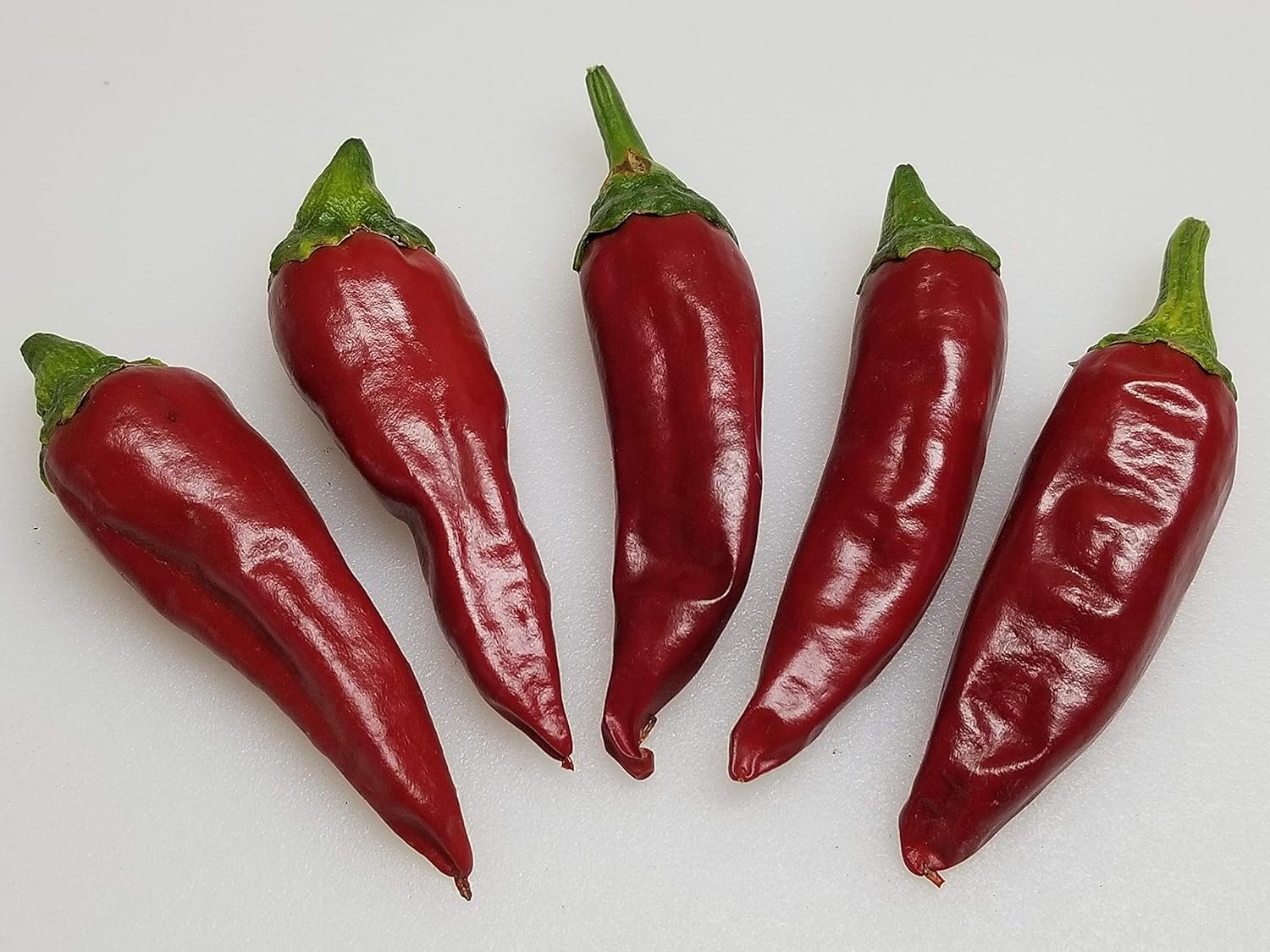 Amazon.com : Guajillo Pepper 10+ Seeds : Patio, Lawn & Garden