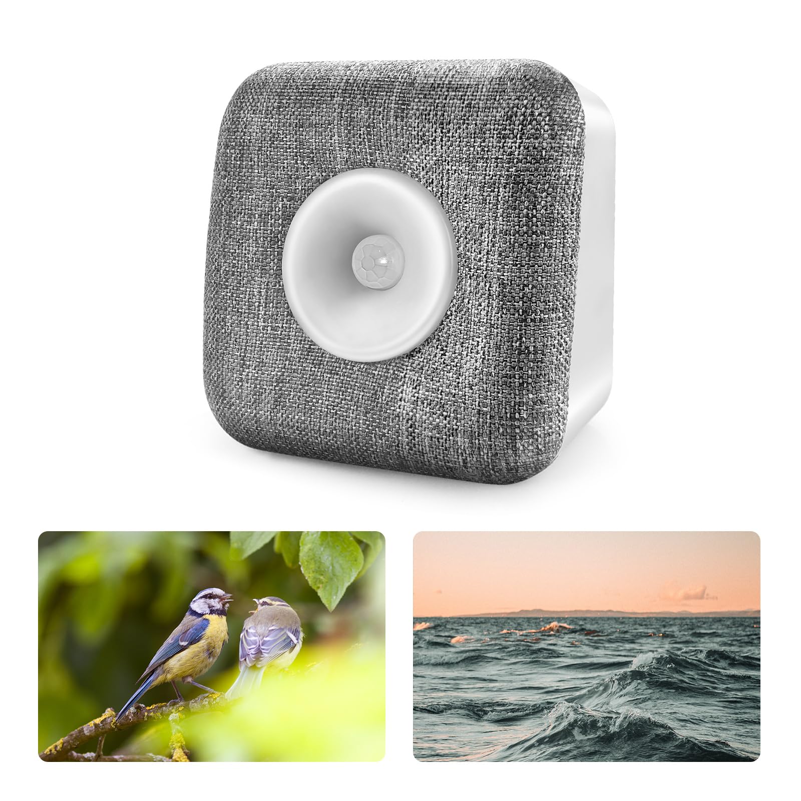 Satisure Bird Chirping Motion Sensor Box, Various Relaxing Bird Singing ...