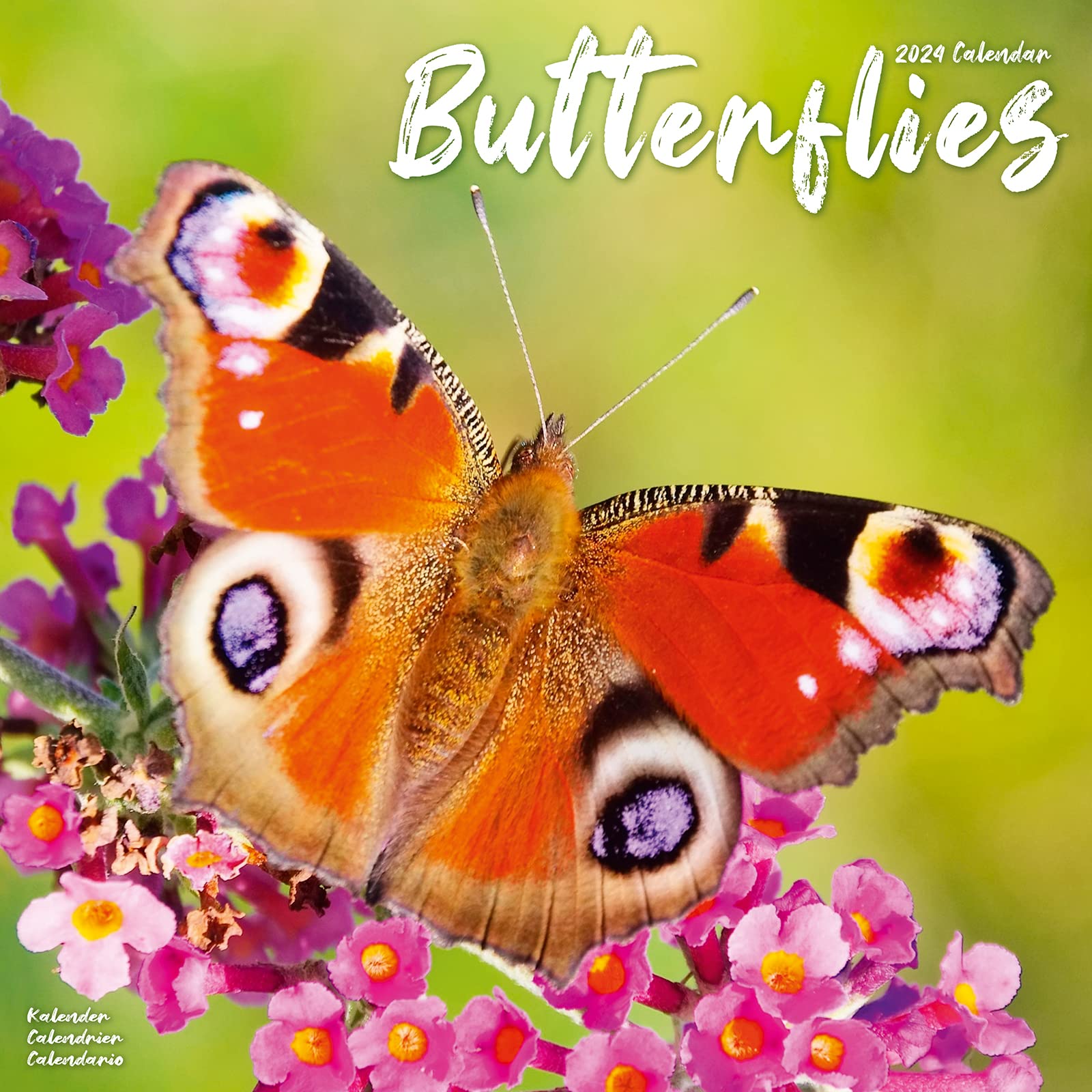 Butterfly Calendar - Calendars 2023 - 2024 Wall Calendars - Animal ...