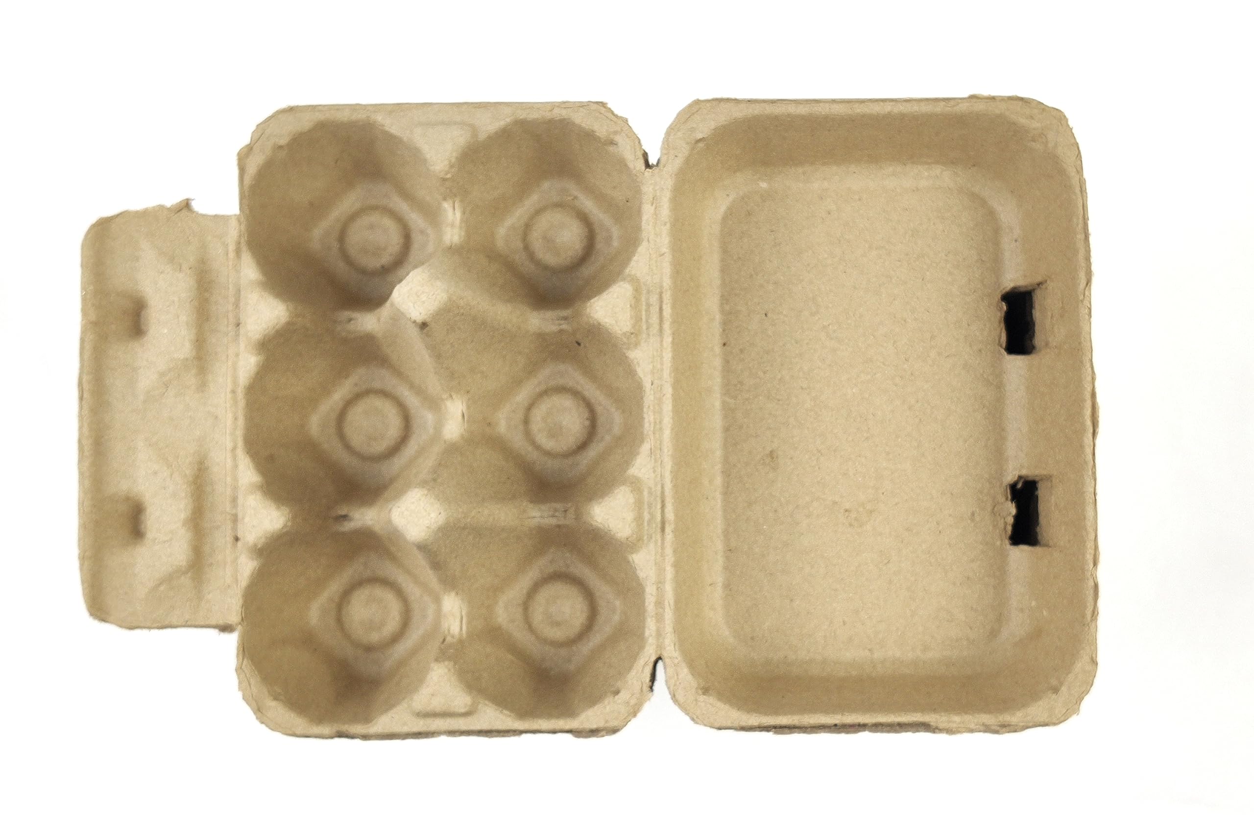 Snapklik.com : 40 Pack Egg Cartons Pulp Fiber Egg Cartons 6 Count Egg ...