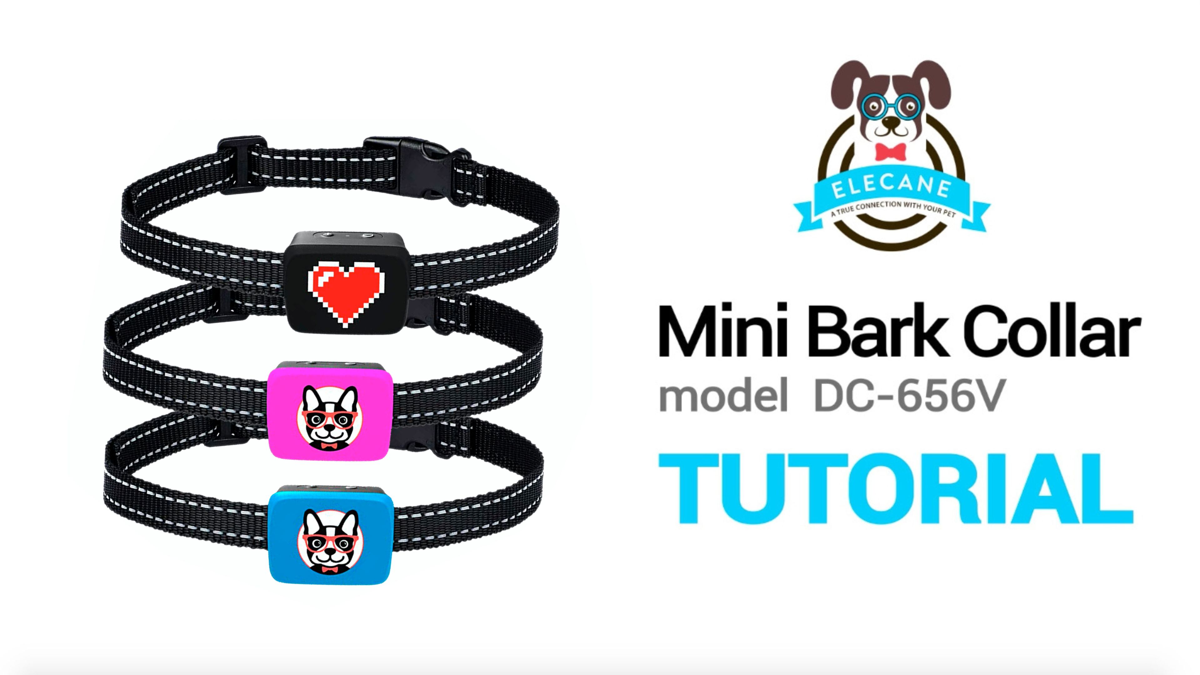 Watch Mini Bark Collar Elecane. TUTORIAL on Amazon Live
