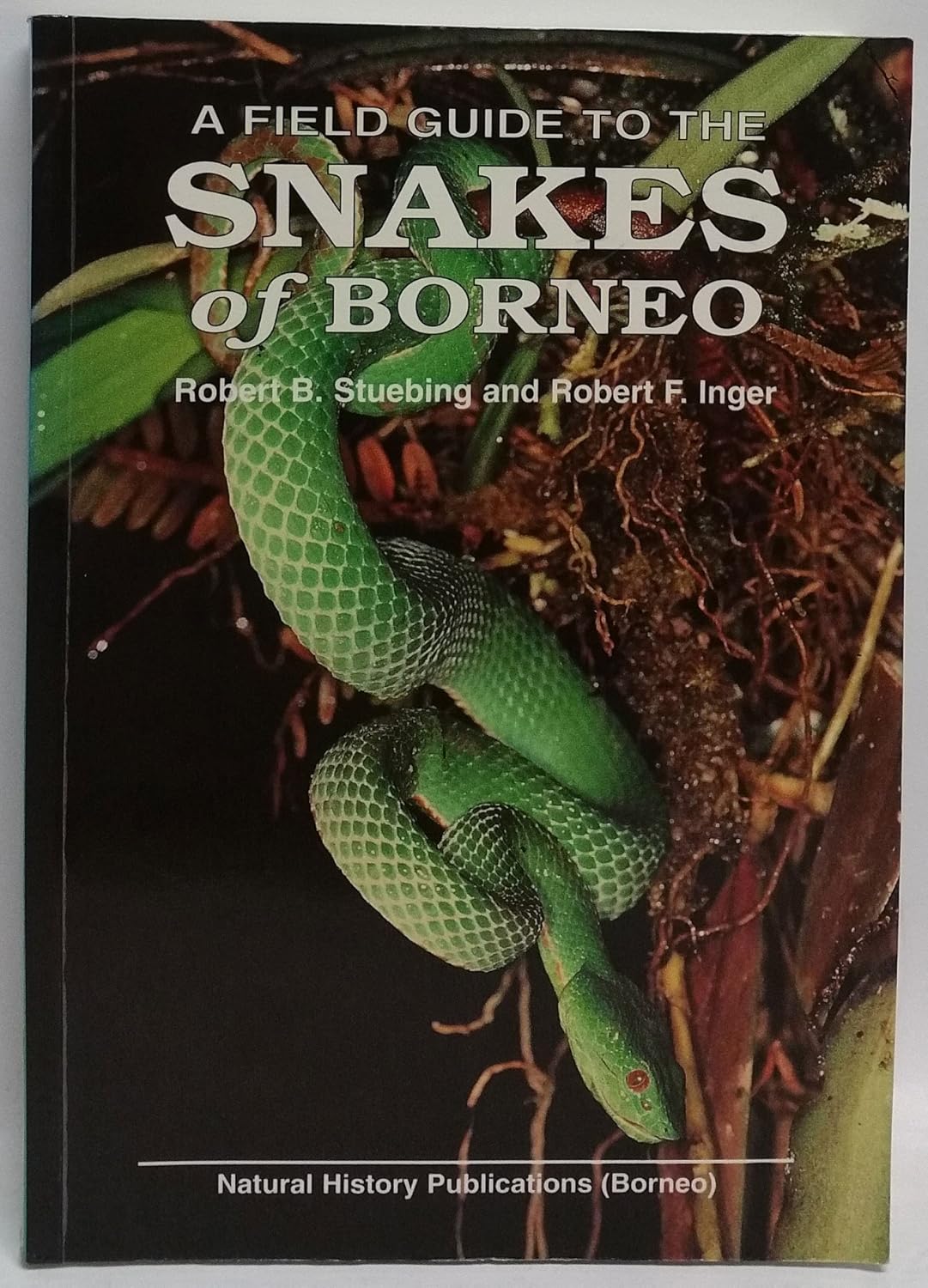 Field Guide to the Snakes of Borneo: Robert B. Stuebing, Robert F ...