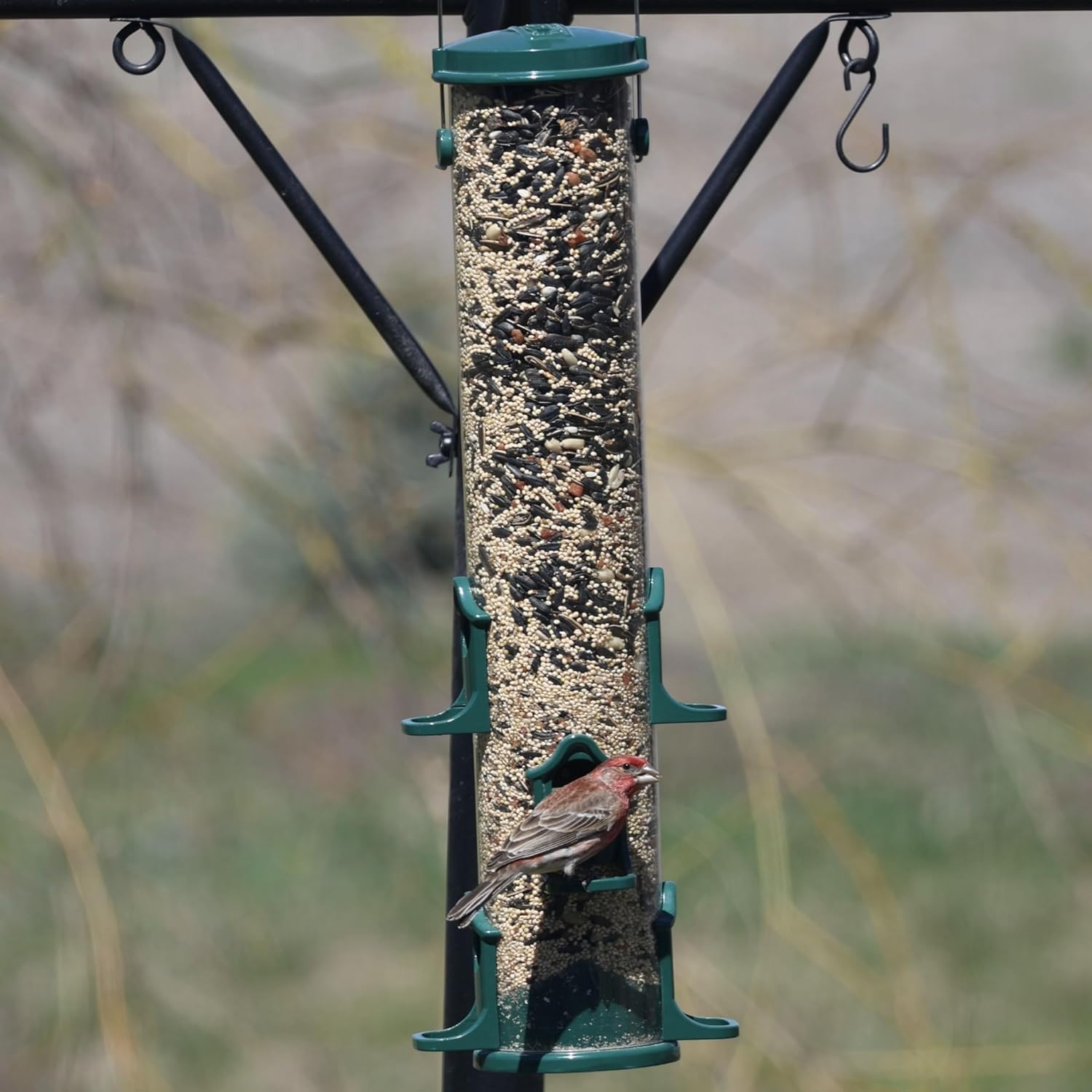 Amazon.com : Backyard Essentials Tube Bird Feeder, 6 Port Mammoth Green ...