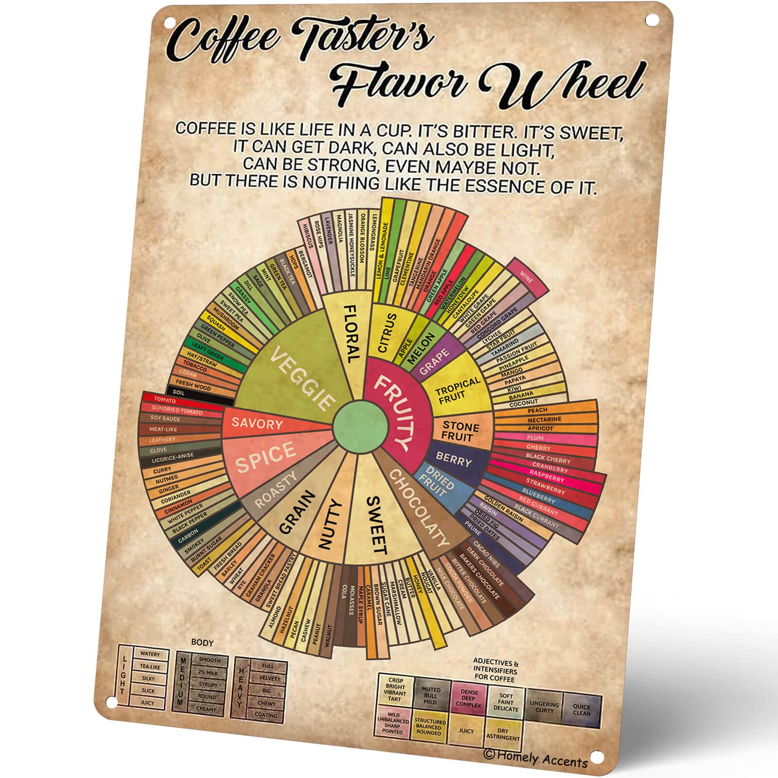 Amazon.com: Homely Accents Coffee Taster's Flavor Wheel Metal Poster ...