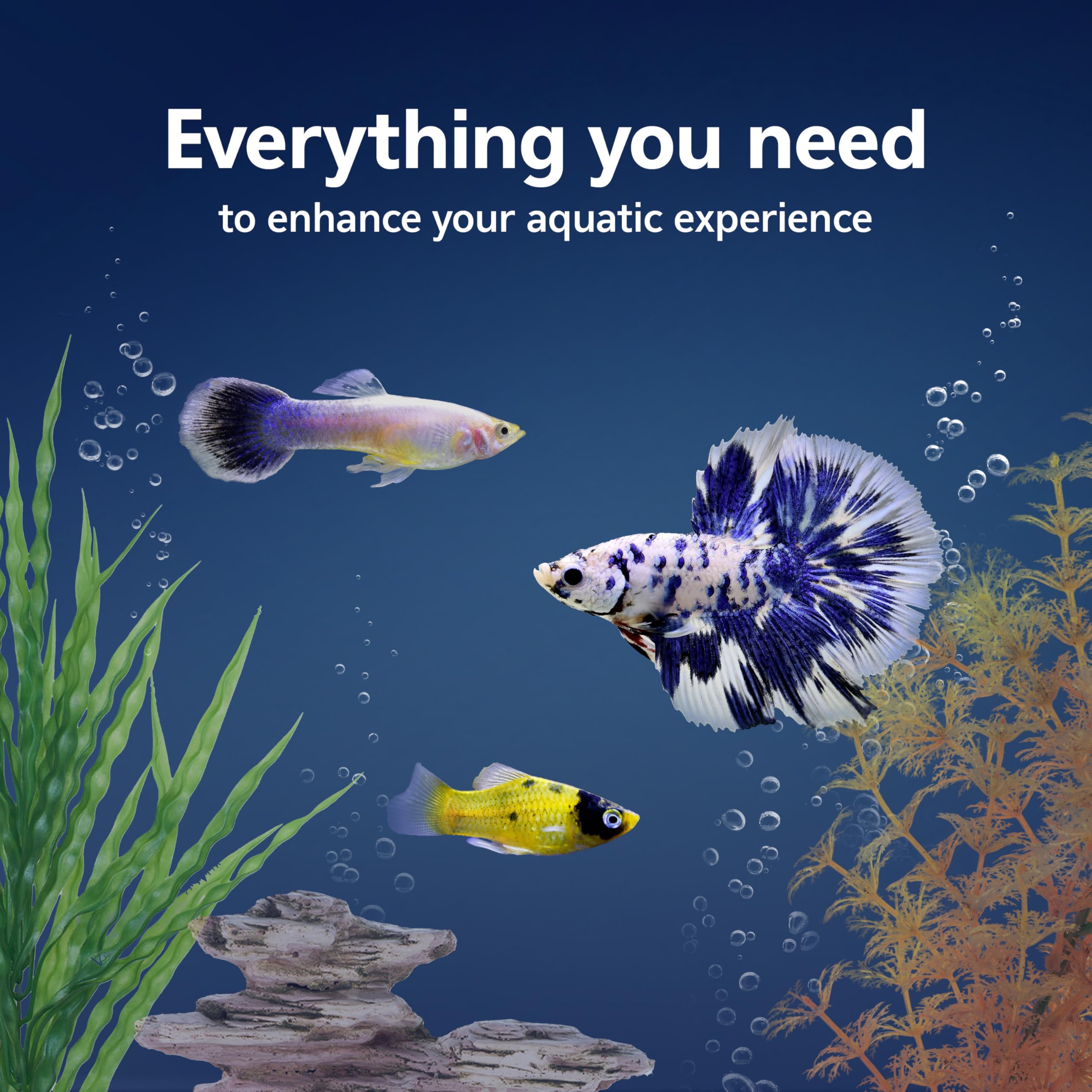 Snapklik.com : Aqueon Aquarium Starter Kit