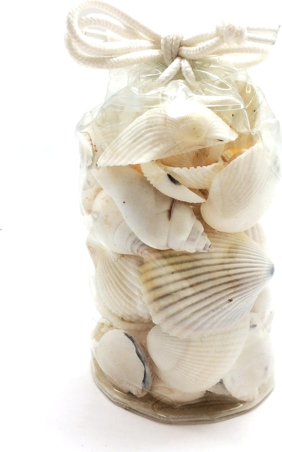 Amazon.com: PEPPERLONELY White Sea Shells Assortment, Various Sizes,1 ...