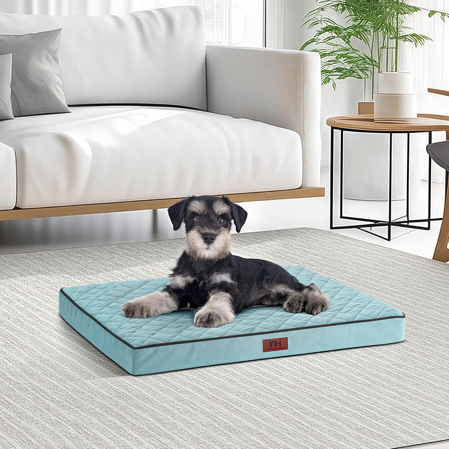 Amazon.com : Orthopedic Dog Beds for Small Dogs with Removable Washable ...