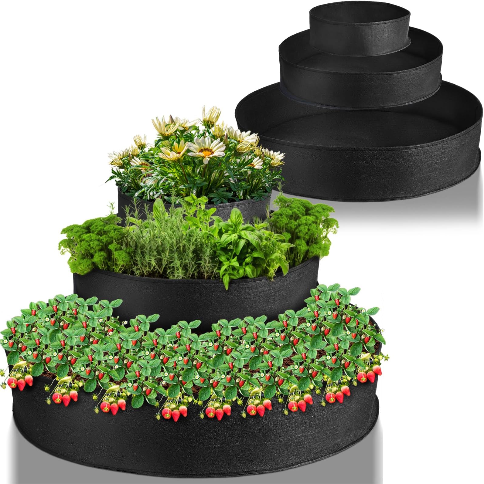 Amazon.com : GARDENS ALIVE! - Pyramid Garden Kit - All You Need to ...