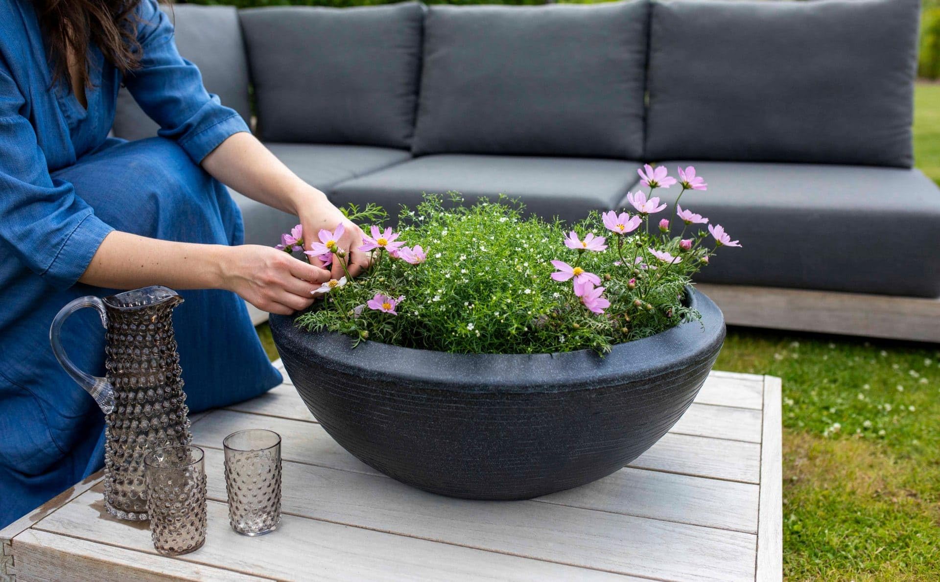 Low Profile Bowl Planters