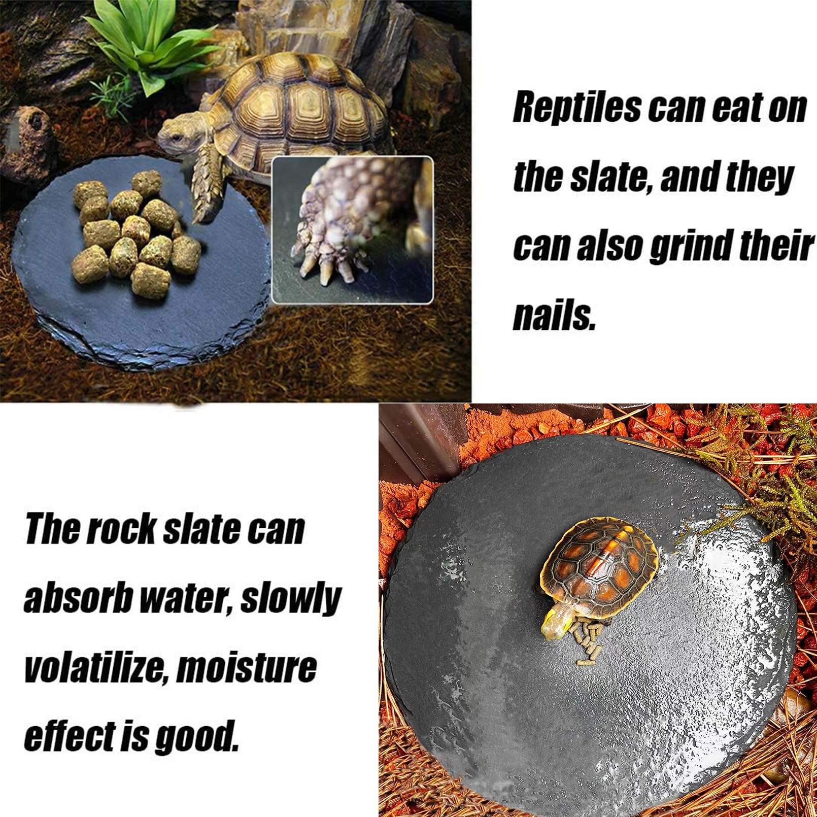 Snapklik.com : Reptile Basking Platform 2PcsTurtle Rock Slate Feeding ...