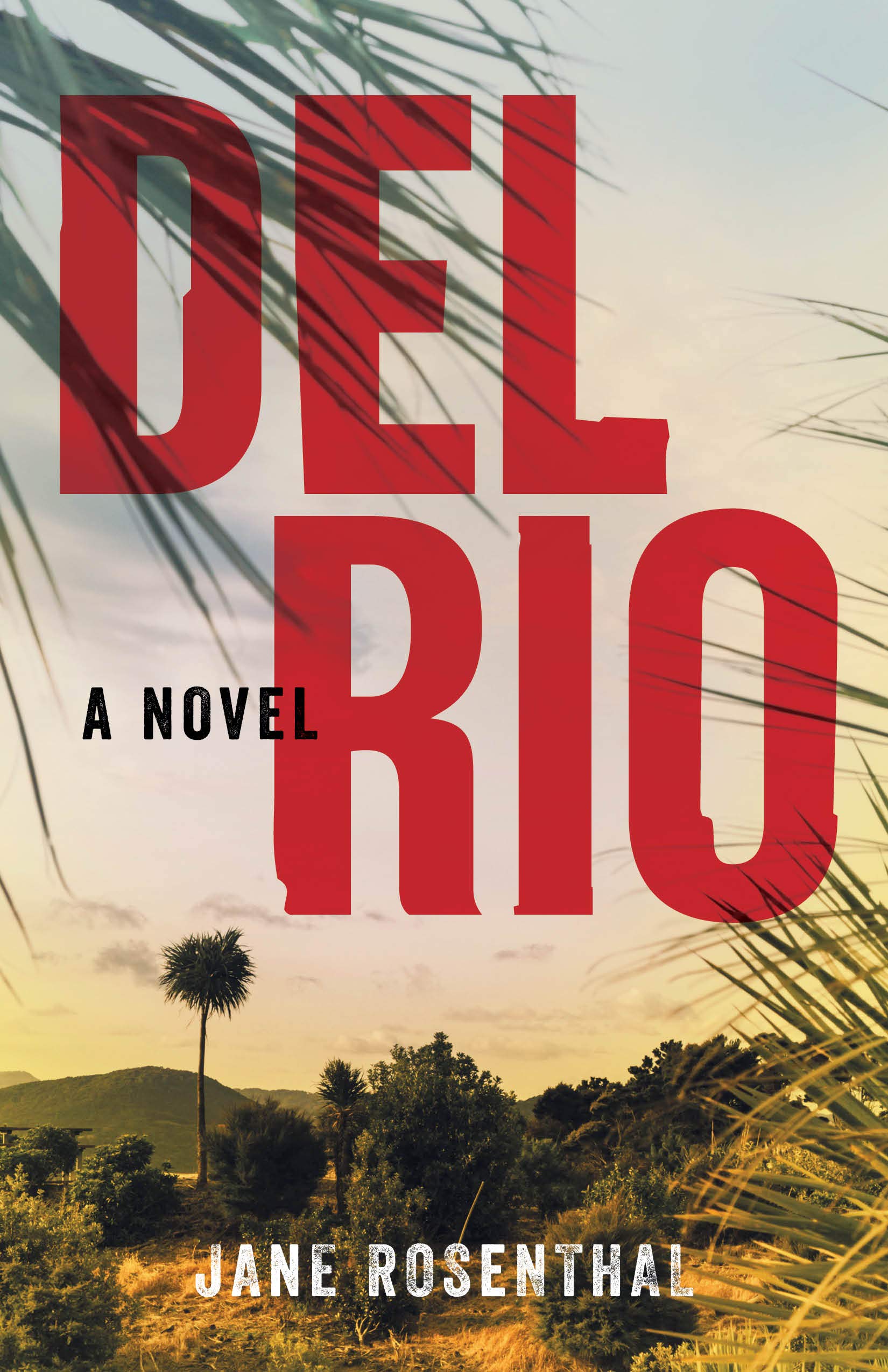 Book review of Del Rio - Readers' Favorite: Book Reviews and Award Contest