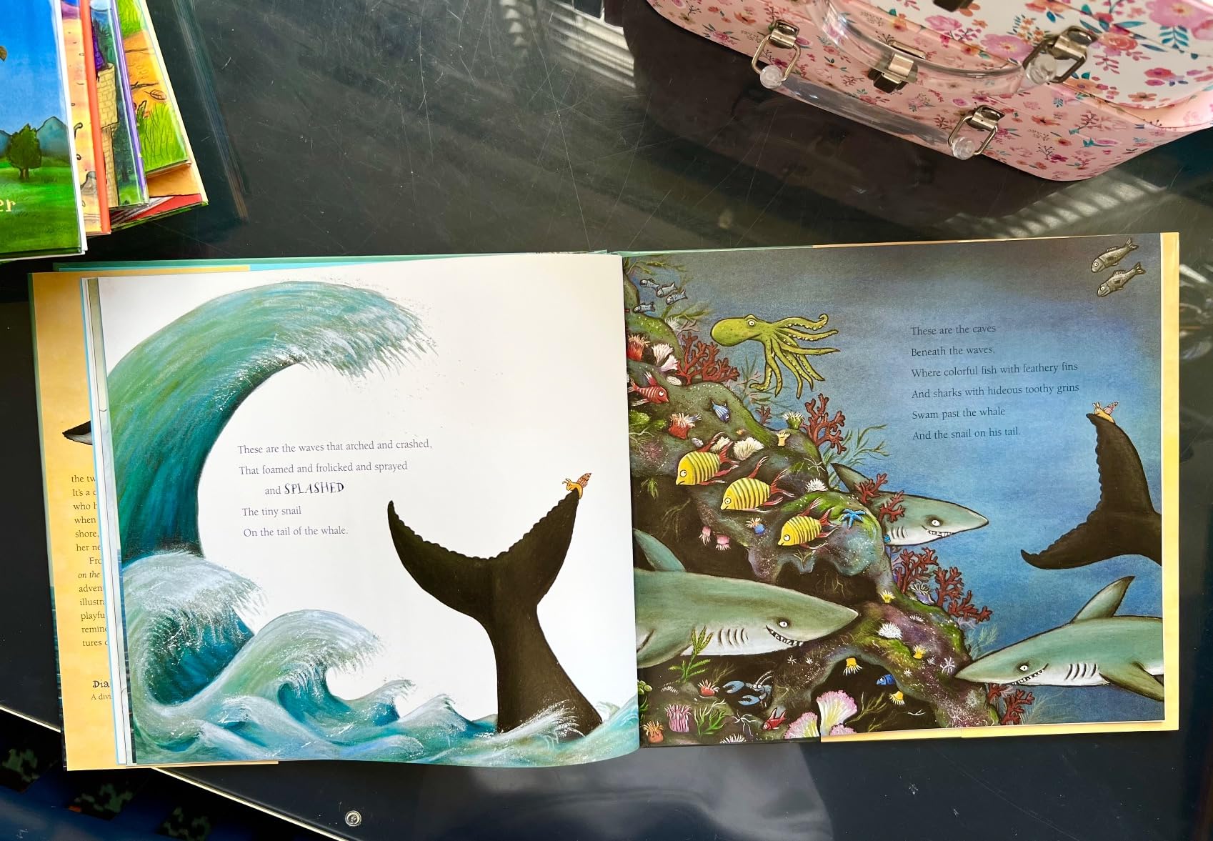 The Snail and the Whale: Donaldson, Julia: 9780330517348: Amazon.com: Books