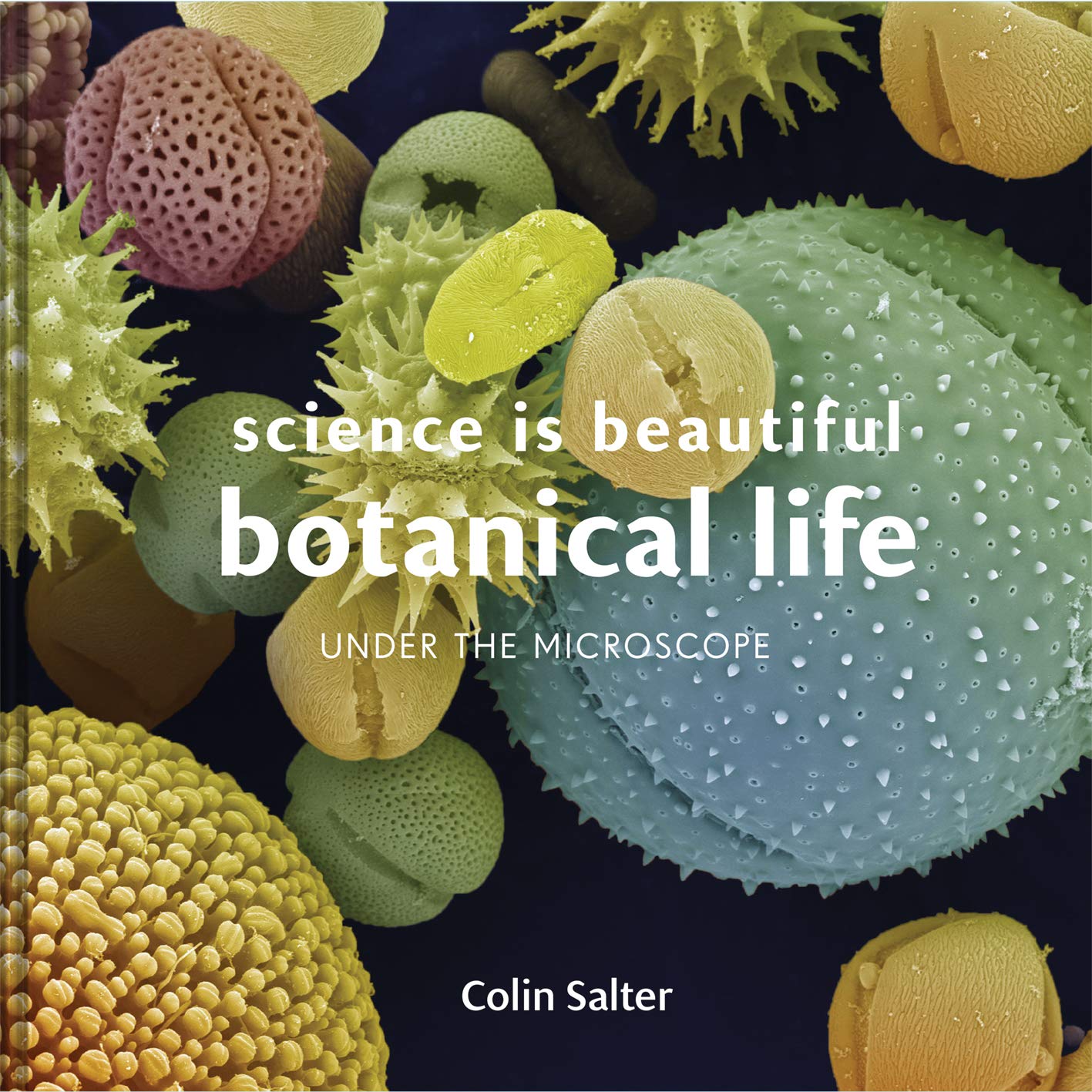 Science Is Beautiful: Botanical Life: Under the Microscope: Salter ...