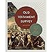 Old Testament Theology: House, Paul R.: 9780830815234: Amazon.com: Books
