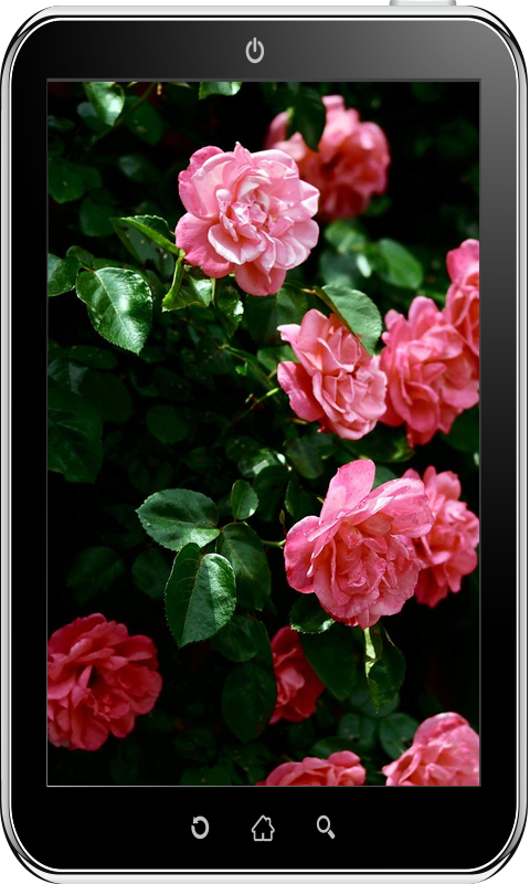 3D Scene Wallpaper HD:Amazon.co.uk:Appstore for Android