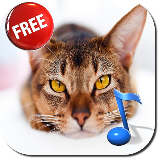 cats sounds book cute kitty animal - App on Amazon Appstore