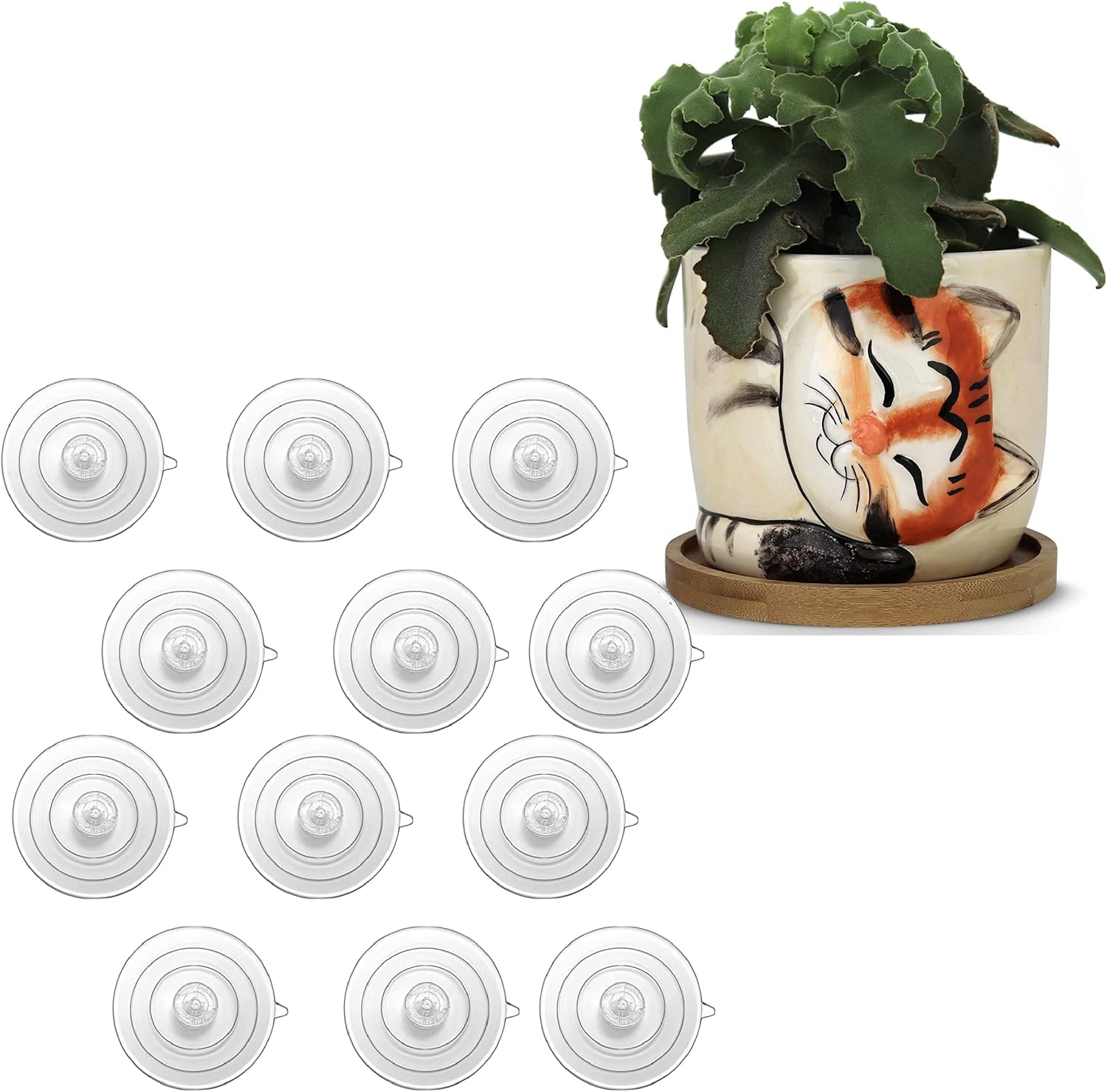 Amazon.com: Window Garden Replacement Suction Cups - 12 Clear, Large ...