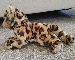 Amazon.com: Douglas Spatter Leopard Cub Plush Stuffed Animal : Toys & Games