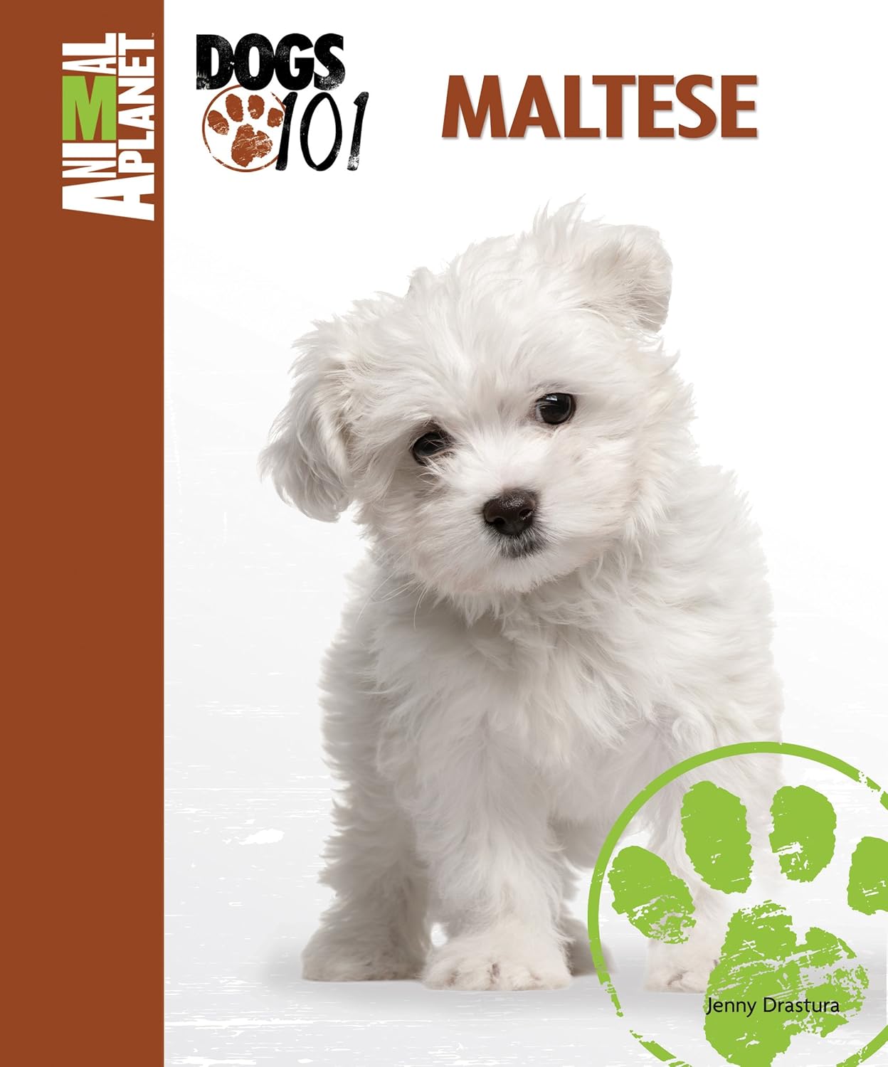 Maltese (Animal Planet: Dogs 101): Drastura, Jenny: 9780793837359 ...