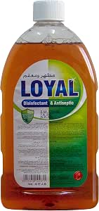 Loyal Disinfectant & Antiseptic Liquid 750 ml : Amazon.ae: Health