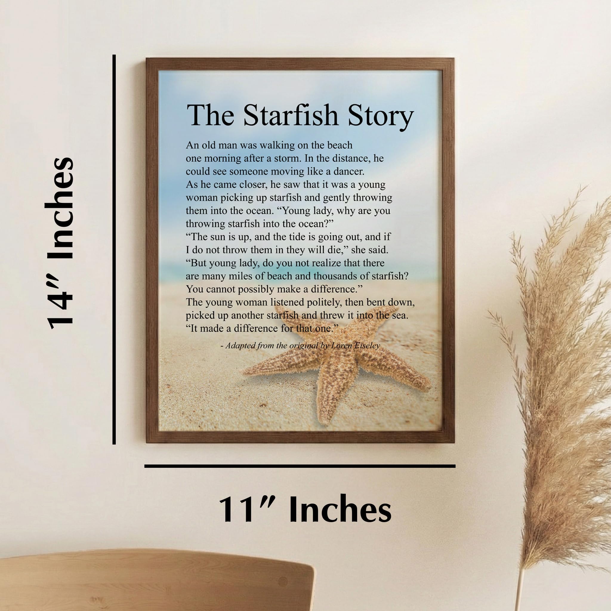 Starfish In The Ocean Story