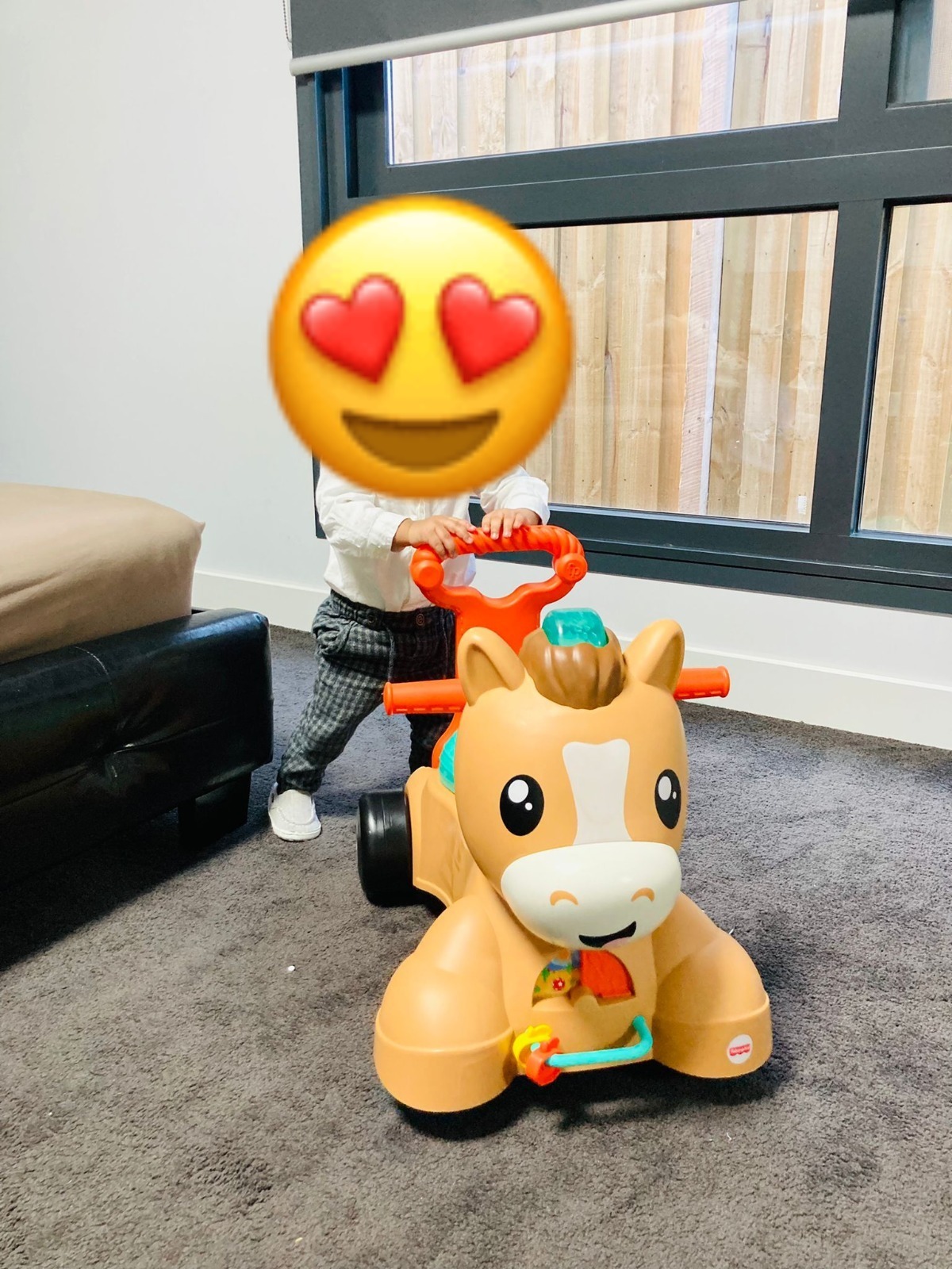 Fisher-Price Walk, Bounce and Ride Pony, multi : Amazon.com.au: Toys ...