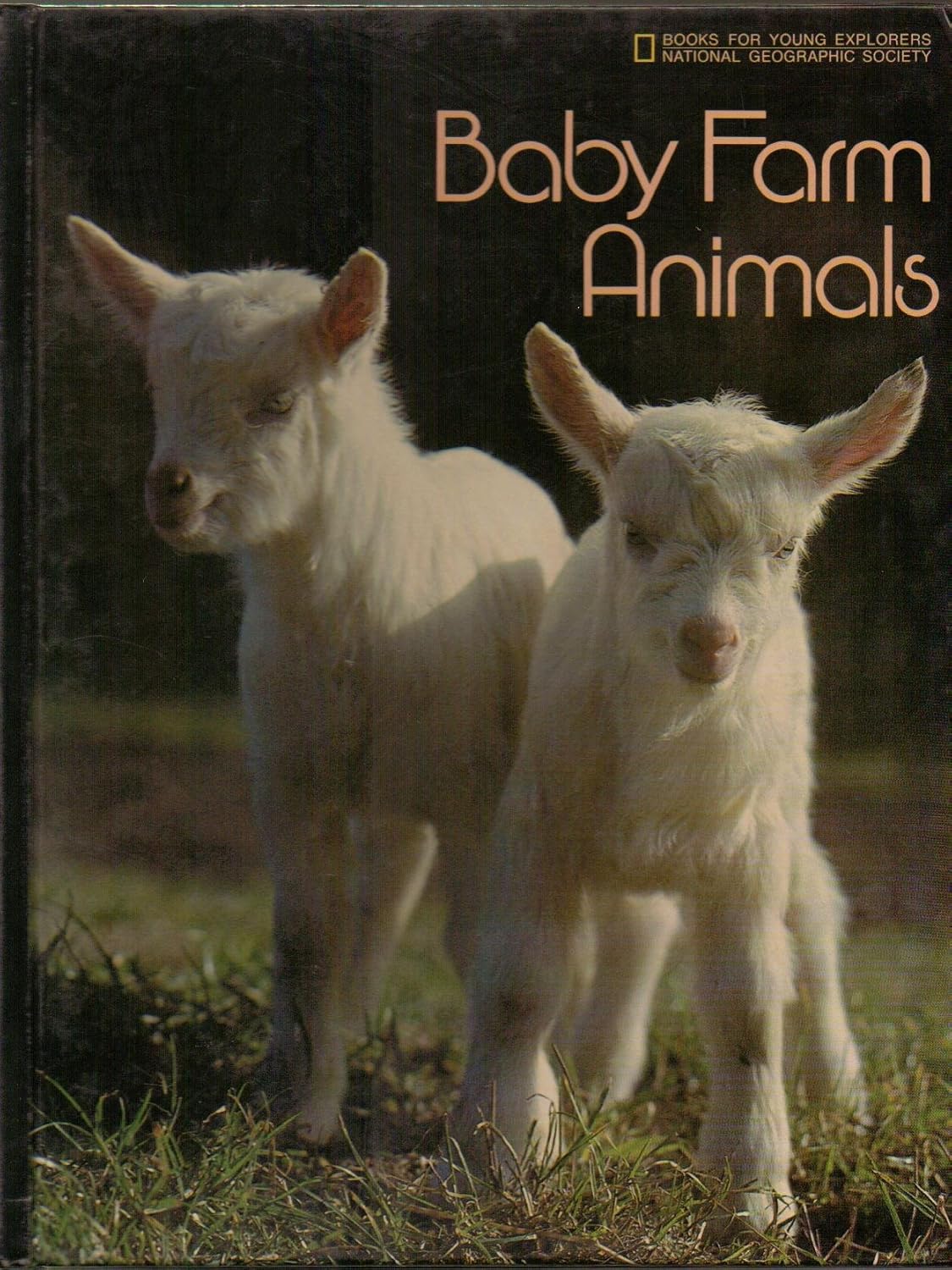 Baby farm animals (Books for young explorers): Windsor, Merrill ...