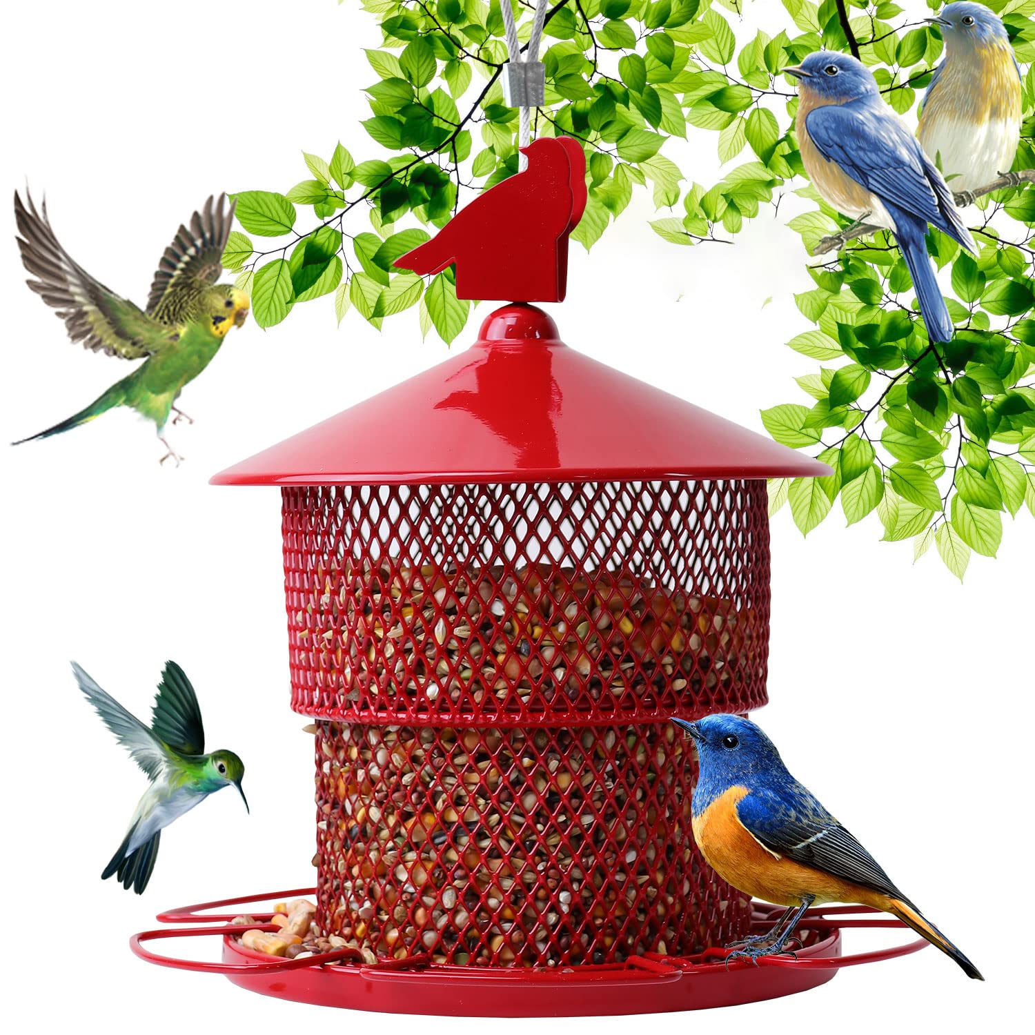 10 Best Large Cardinal Bird Feeders for Your Backyard - Hummingbirds Plus