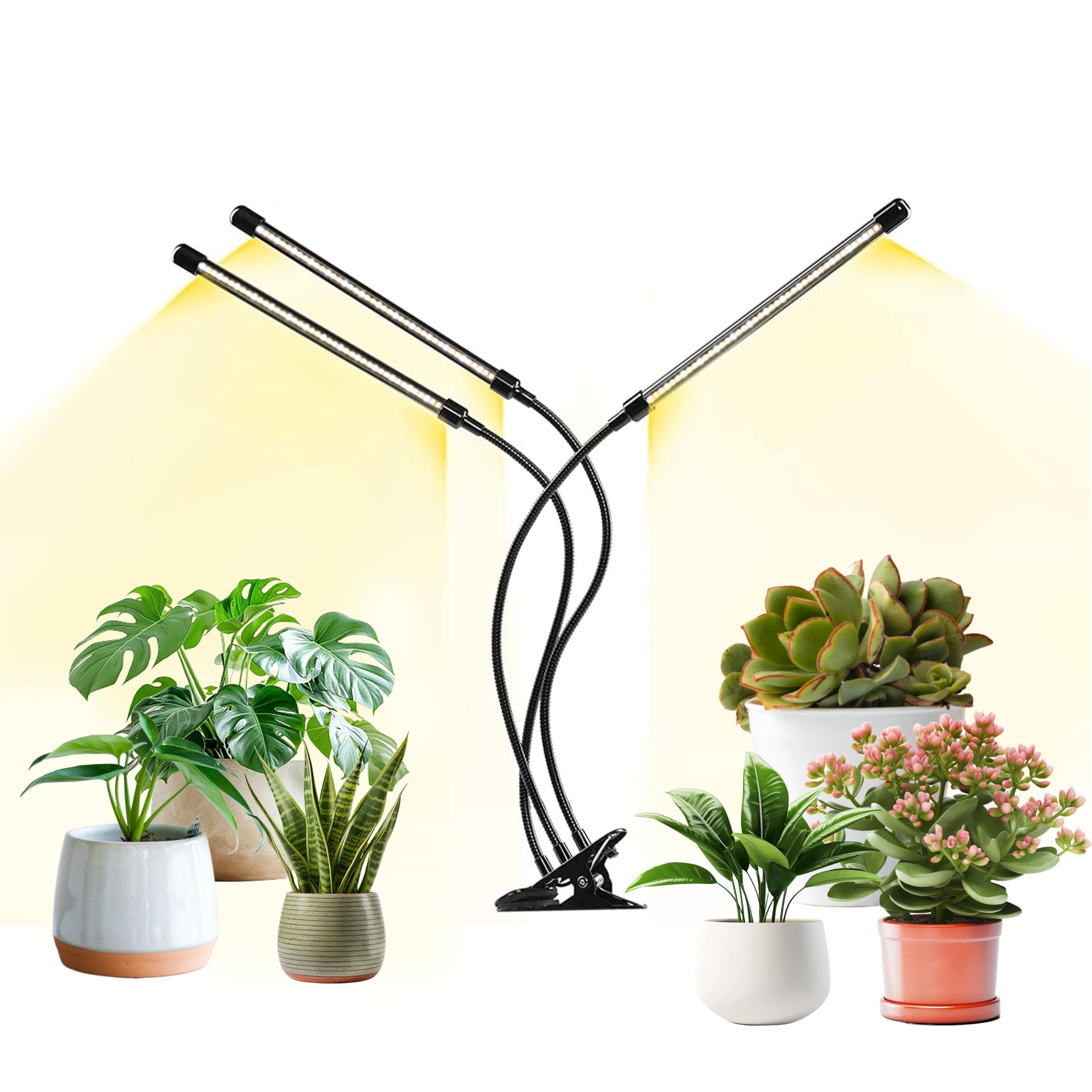 Snapklik.com : iPower Grow Light Plant Lights For Indoor Plants, Full ...